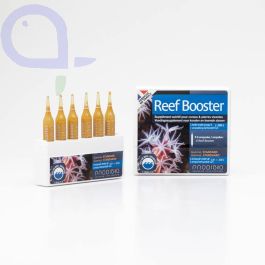 Prodibio REEF BOOSTER 6 Ampullen aquaPro2000