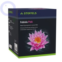 Seerose Nymphaea Fabiola Pink - Umweltfreundliche Verpackung aquaPro2000