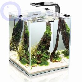 Aquael Shrimp Set Day & Night - 30L - weiß aquaPro2000